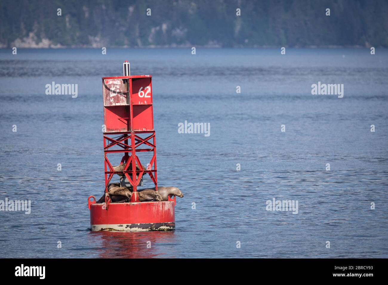 The Wrangell Narrows comprise scenic views and and marker buoys outside ...