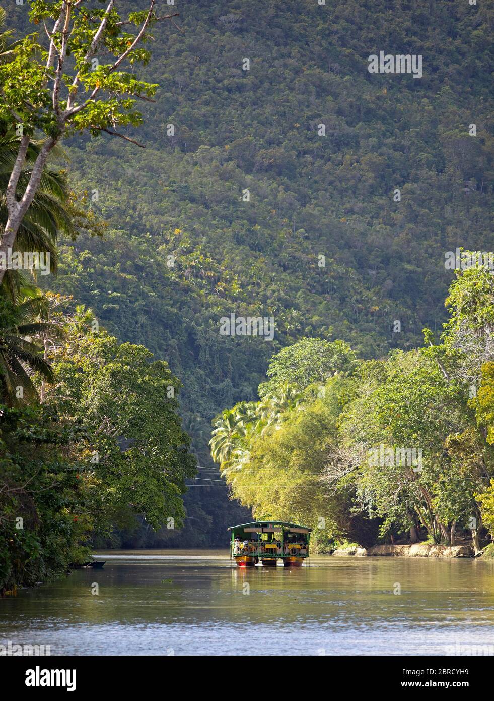 Excursion boat on the Loboc River, Bohol Island, Central Visayas ...
