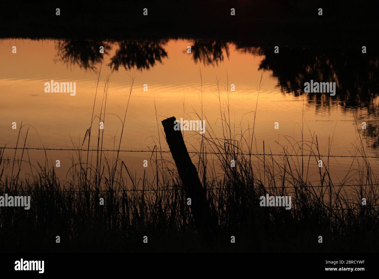 Kansas colorful Sunset reflection on a farm pond with weeds and a fence ...