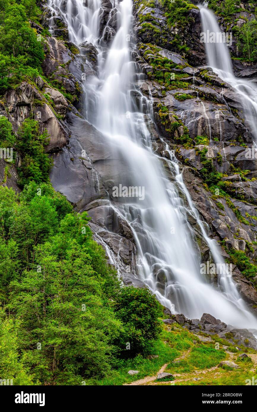 Nardis hi-res stock photography and images - Alamy