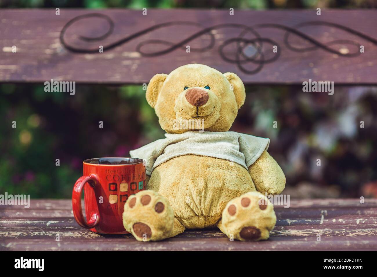 Teddy bear sitting with a cup of coffee Coffee break concept Stock ...