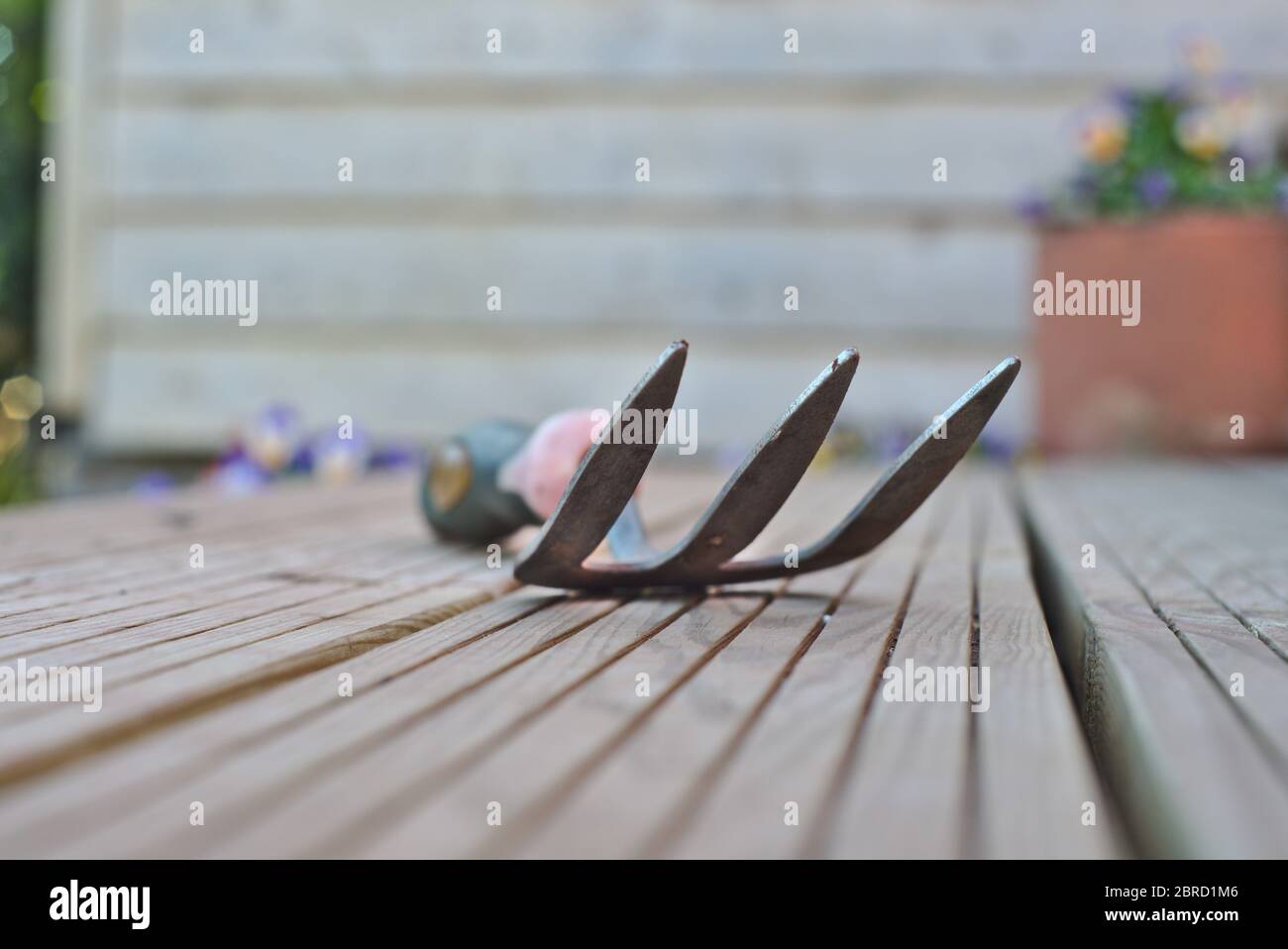Gardeners small hand fork tool for weeding and planting Stock Photo - Alamy