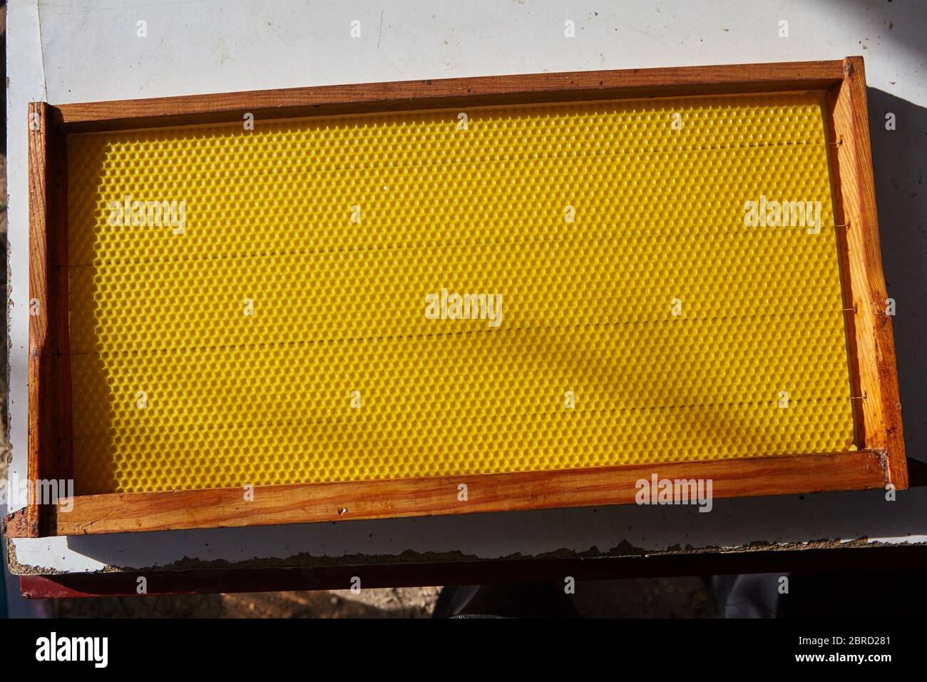 Empty honeycomb hi-res stock photography and images - Alamy