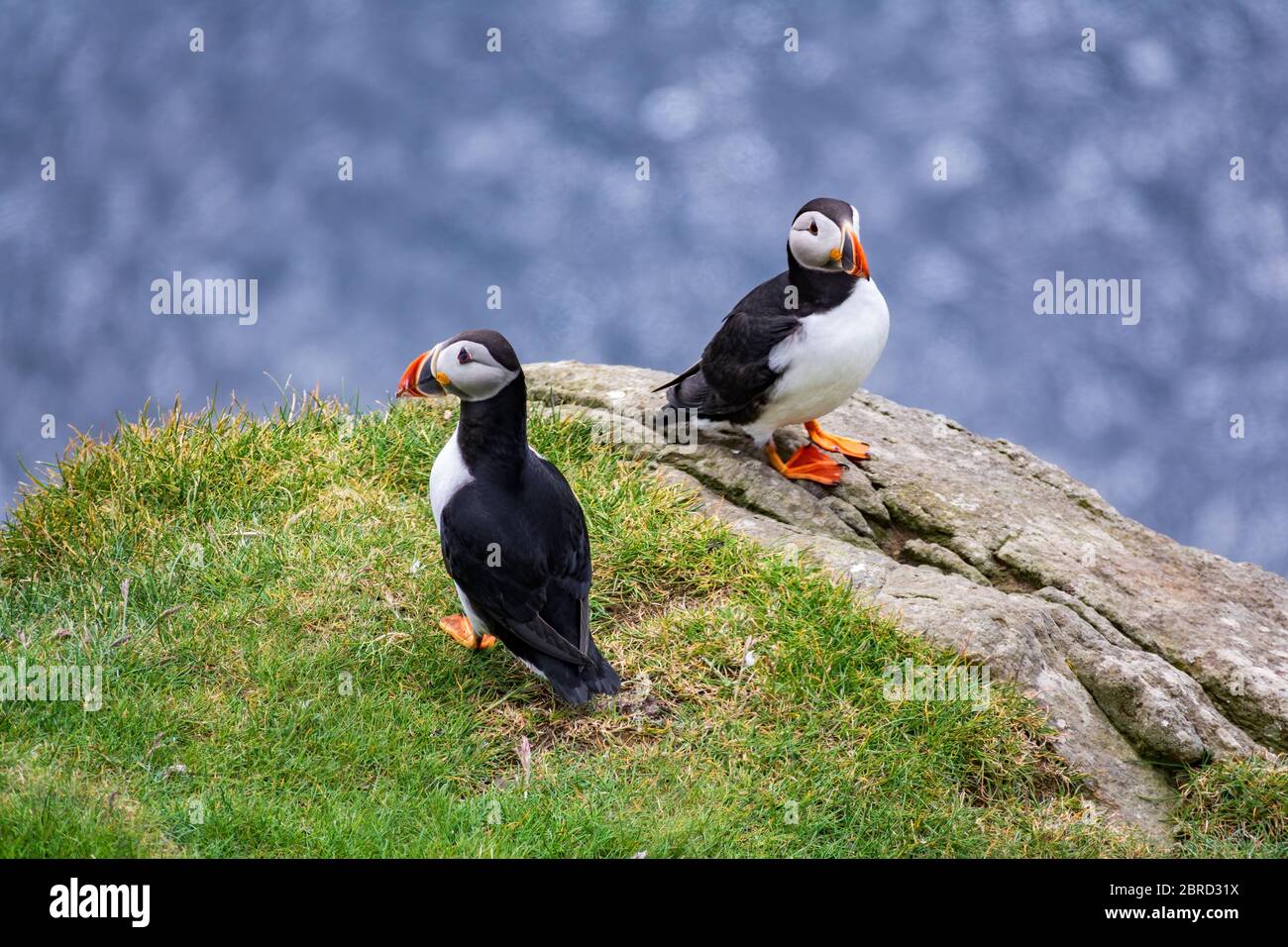 Looking different directions hi-res stock photography and images - Alamy