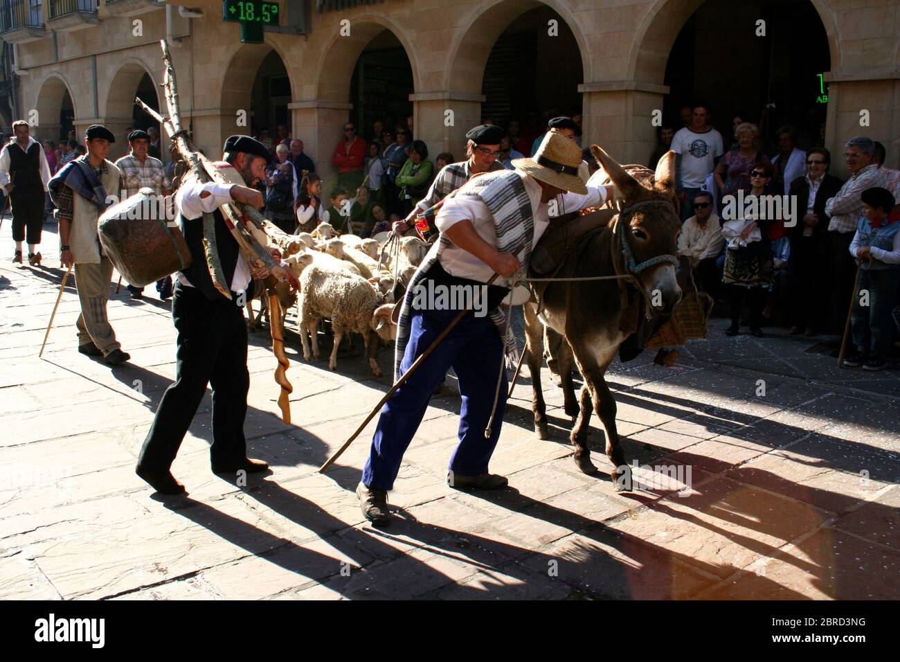 Donkey Parade High Resolution Stock Photography and Images - Alamy