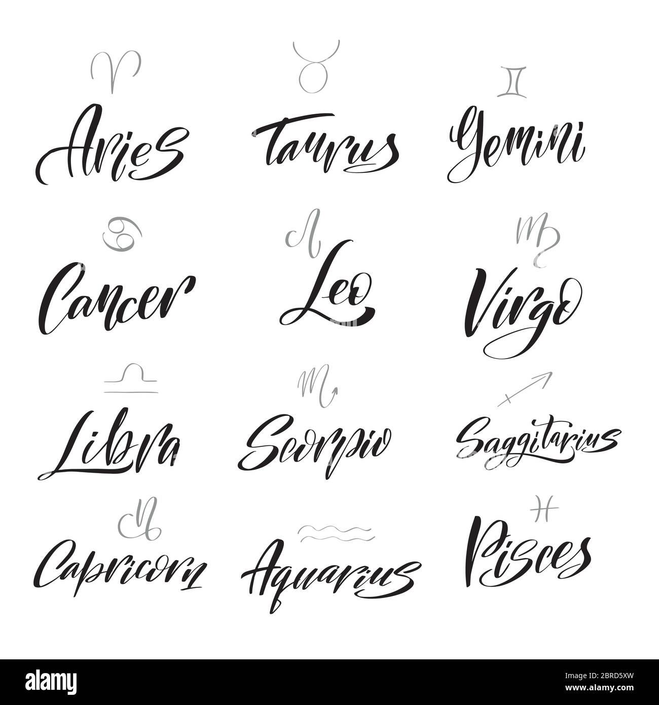 Vector calligraphy illustration isolated on white background Stock ...