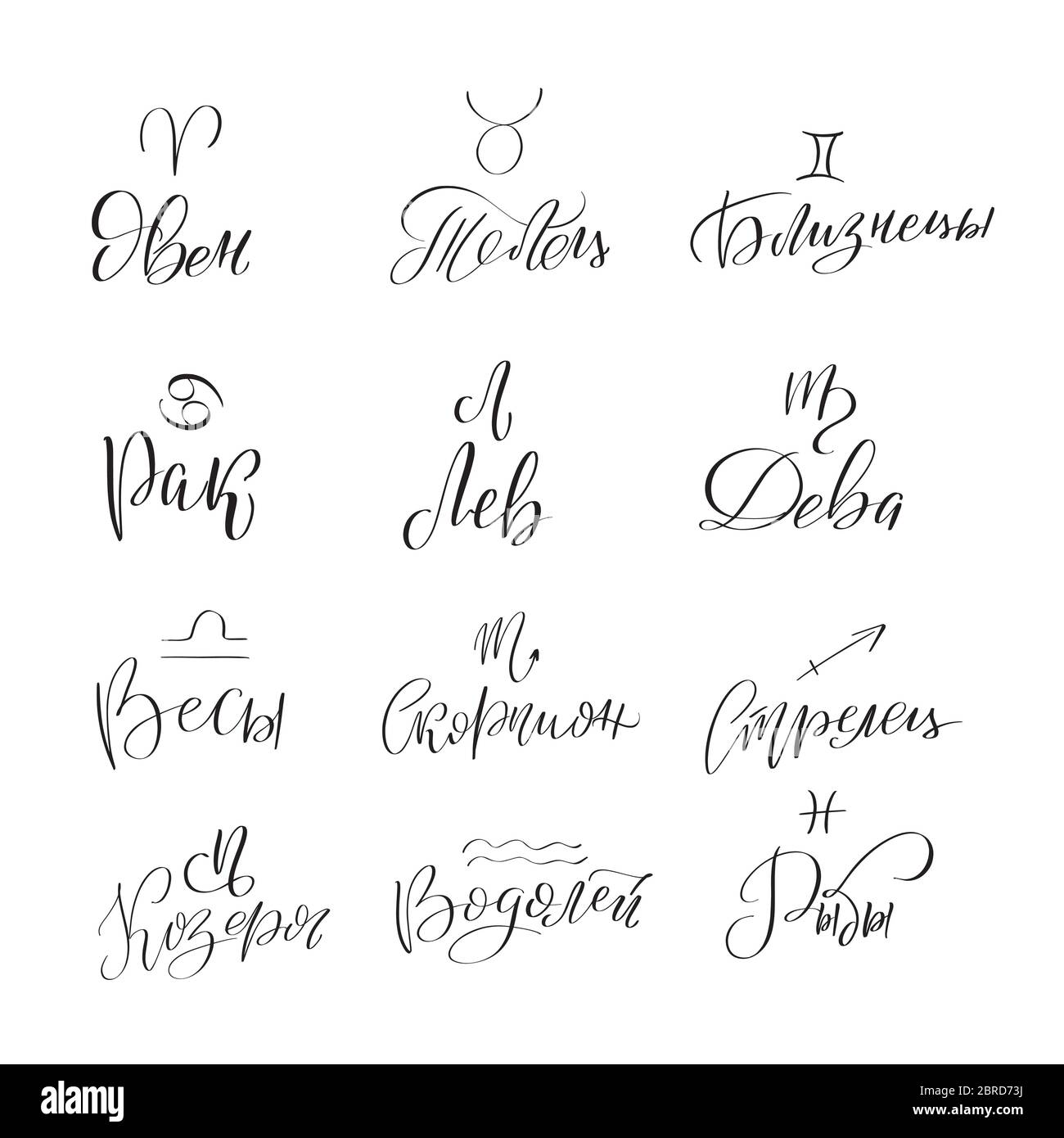 Vector calligraphy illustration isolated on white background Stock ...