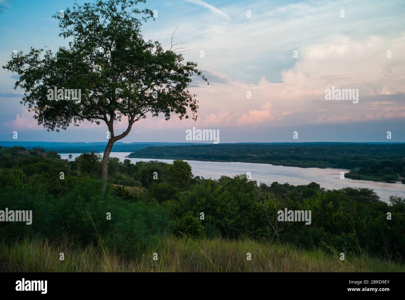 Victoria nile river hi-res stock photography and images - Alamy