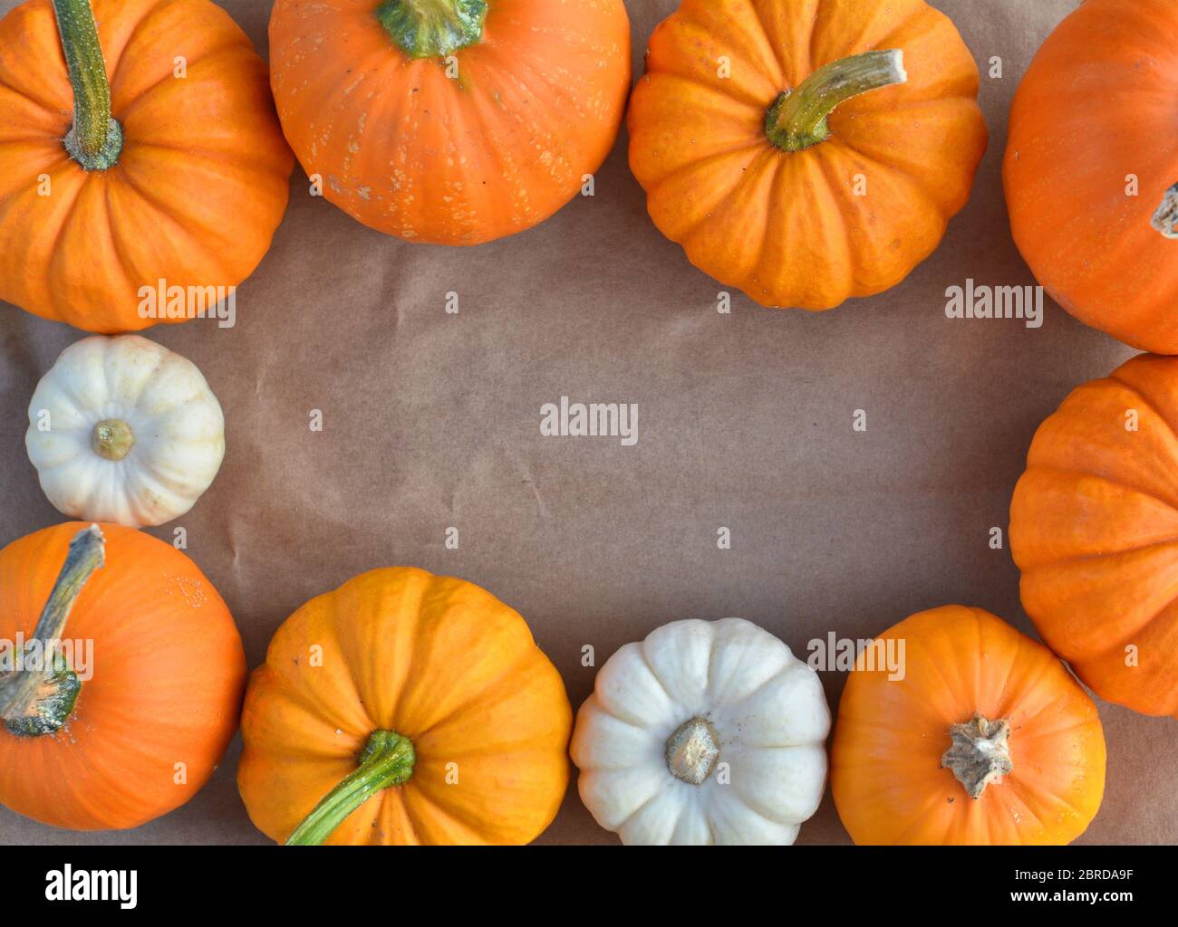 Pumpkin border on paper background Stock Photo - Alamy