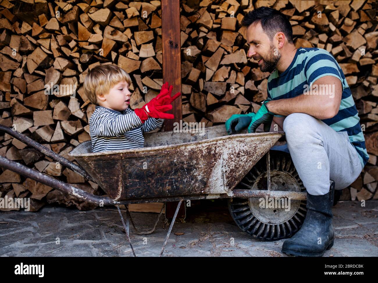 A father and toddler boy outdoors in summer, working with firewood ...