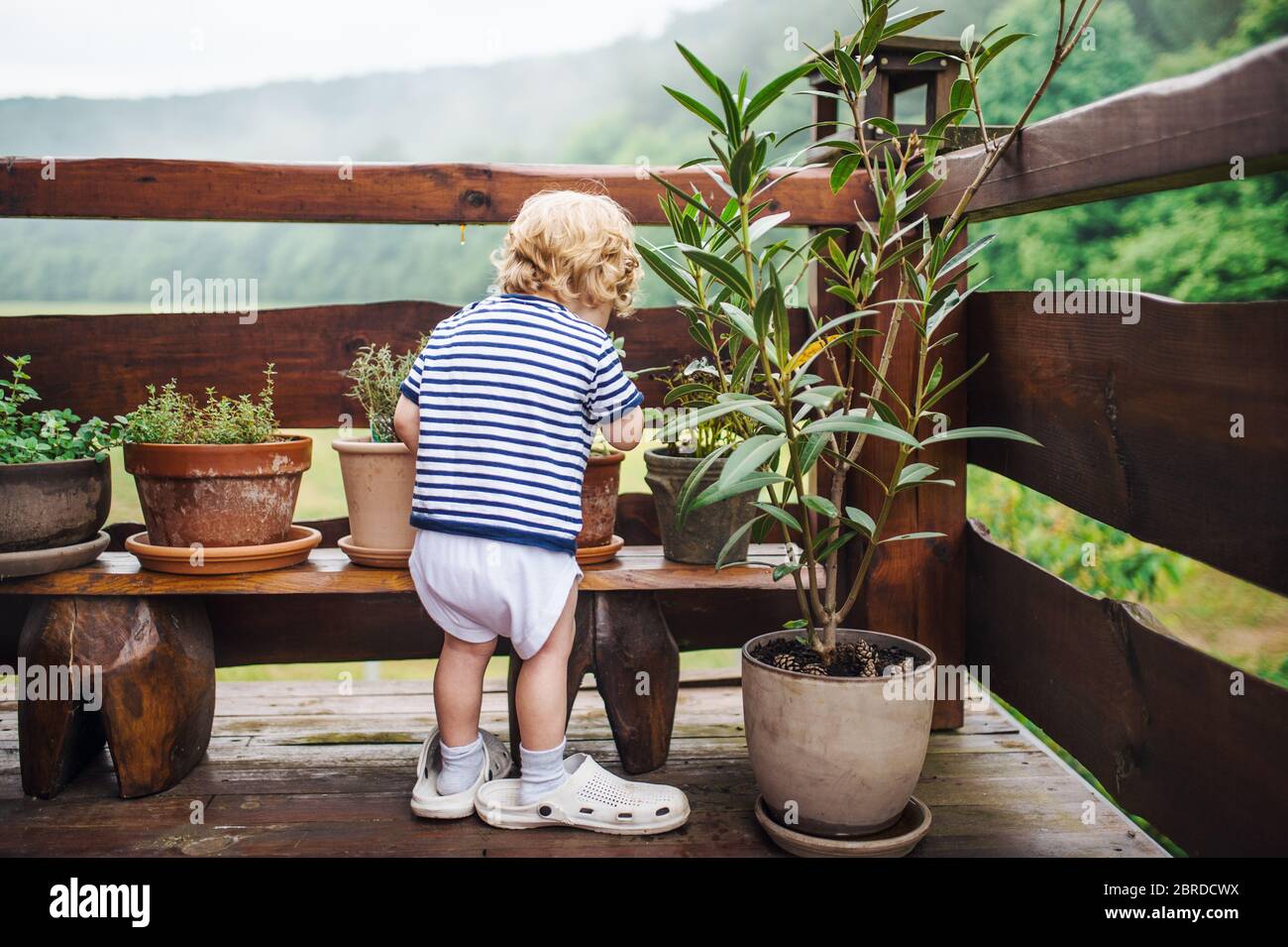 Back view little boy standing hi-res stock photography and images - Alamy