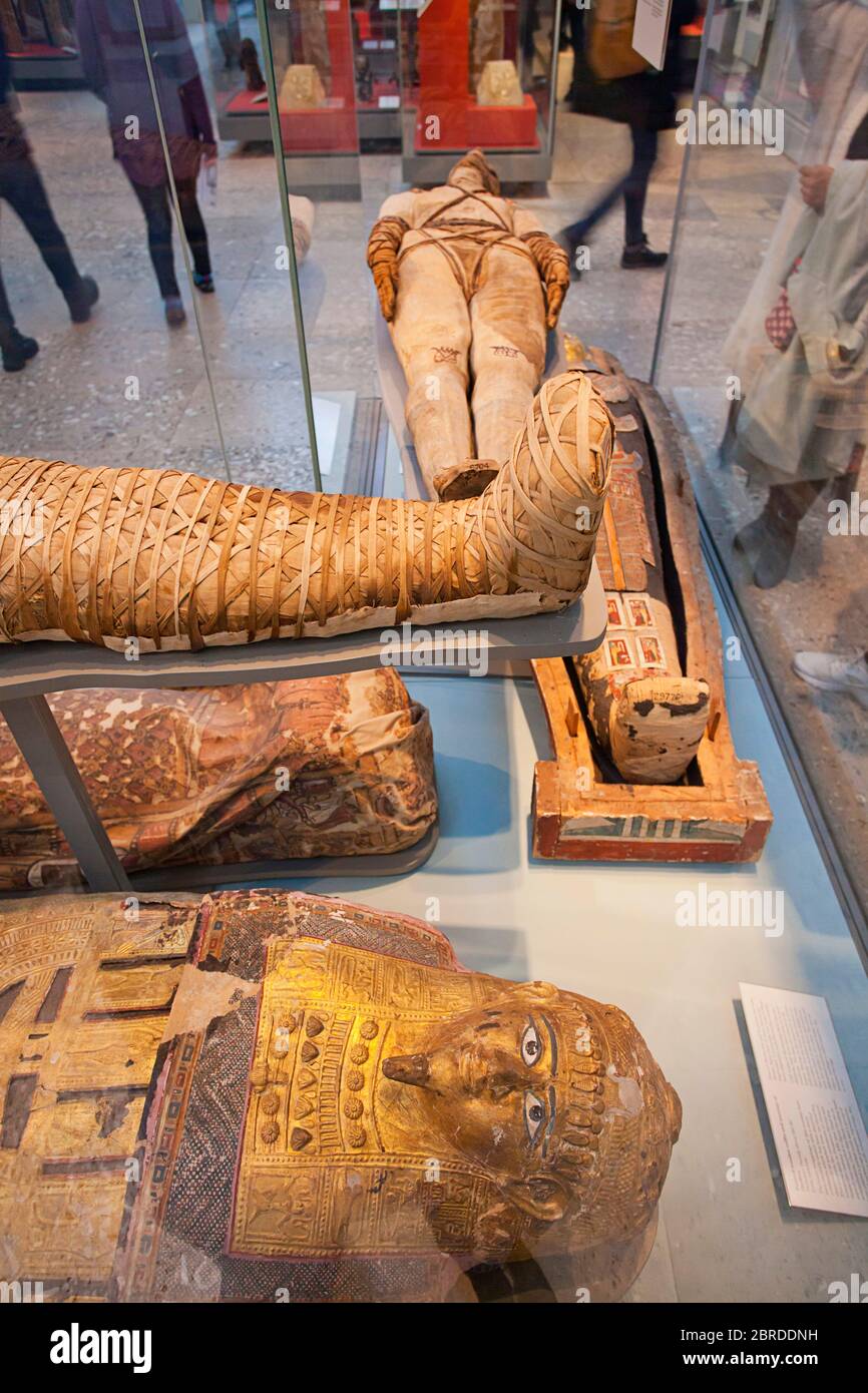 Mummies on display at The British Museum Stock Photo - Alamy