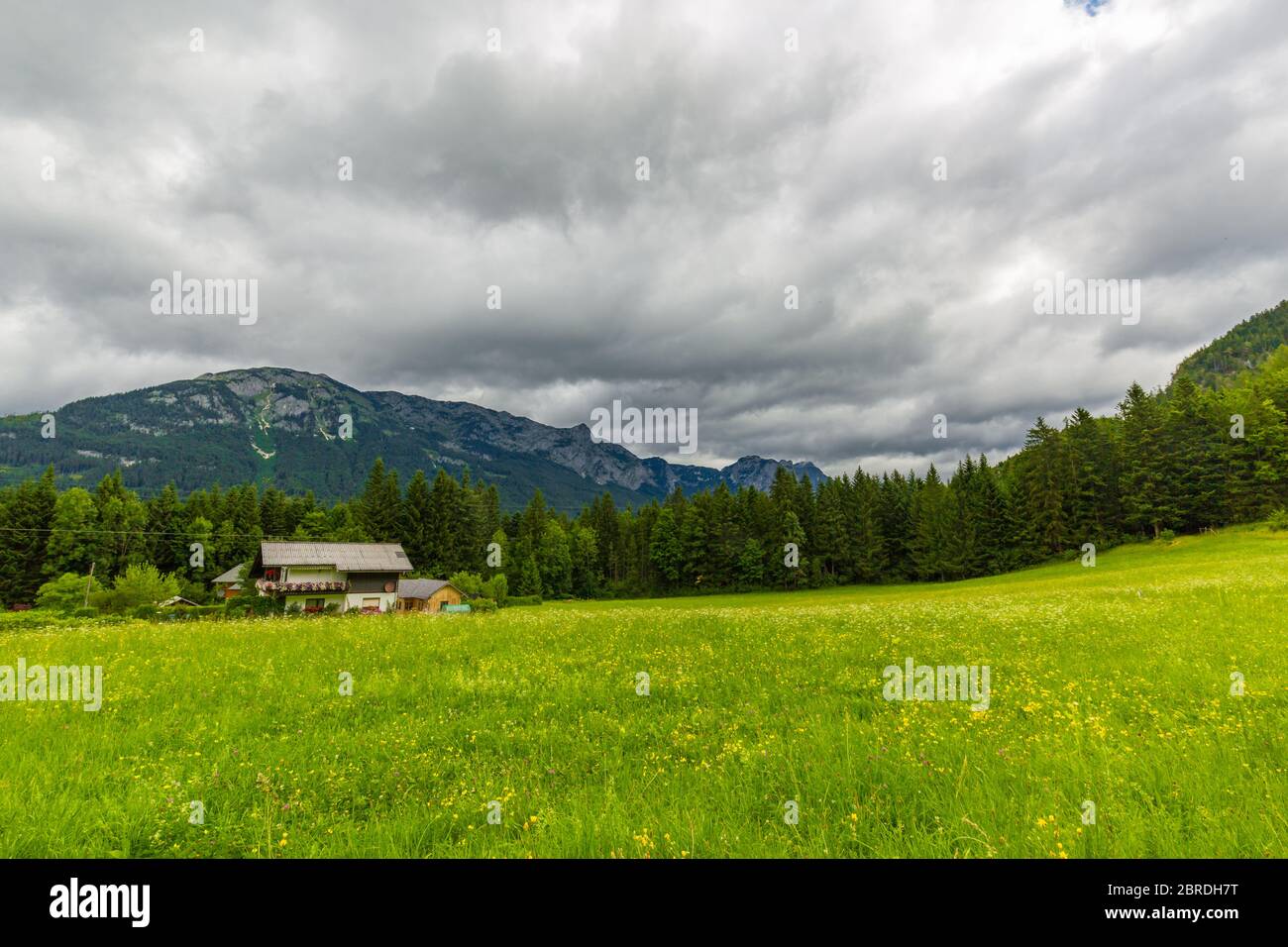 Wooden hut on meadow and high Bavarian alps, Germany Stock Photo - Alamy