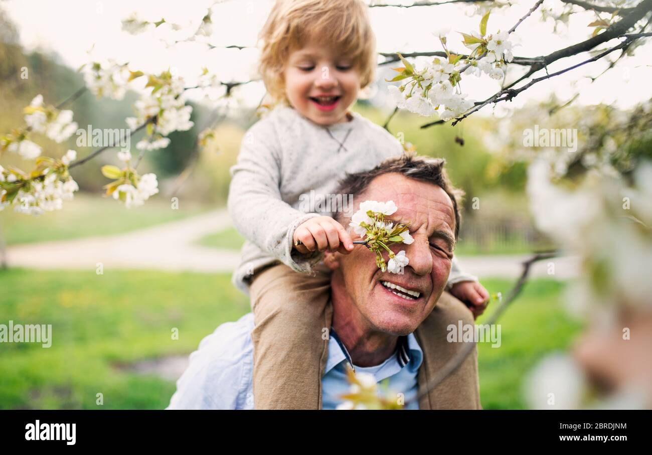 Grandfather child hi-res stock photography and images - Alamy