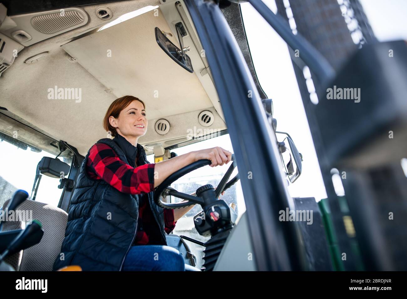 Woman worker riding tractor on diary farm, agriculture industry Stock ...