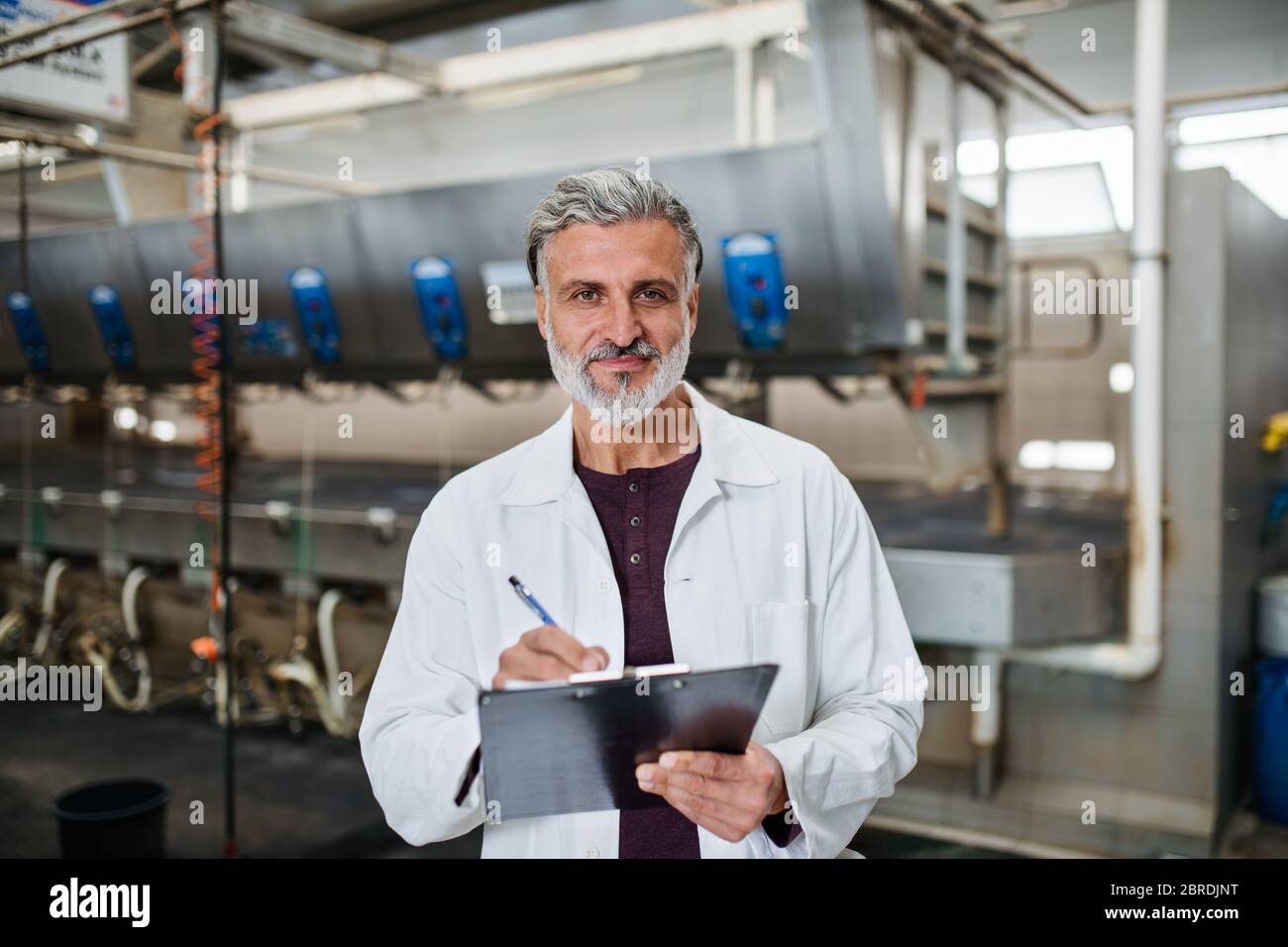 Man manager working on diary farm, agriculture industry Stock Photo - Alamy