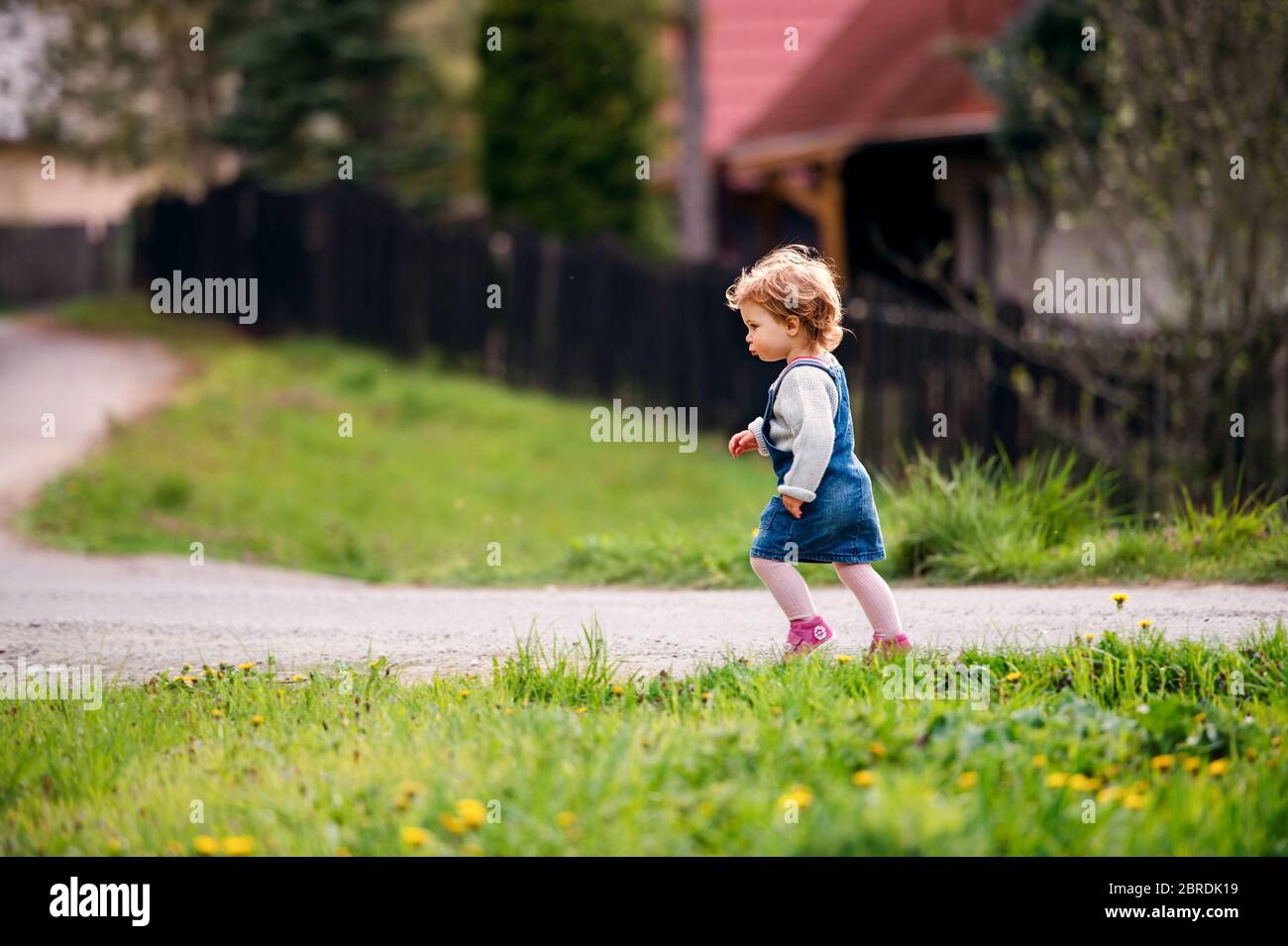 Side view of small toddler girl walking in the countryside in spring ...