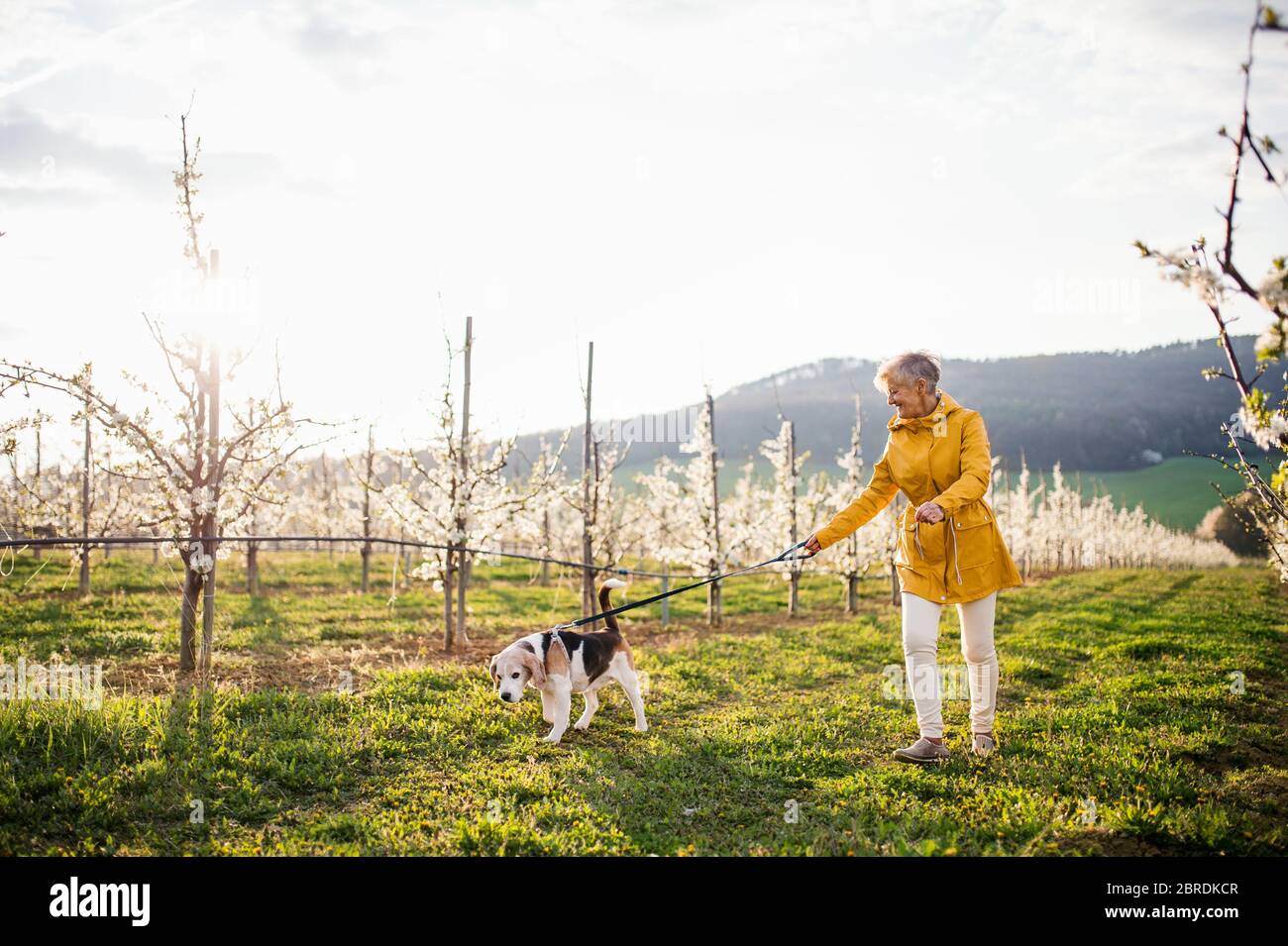 Woman walking rear coat hi-res stock photography and images - Alamy