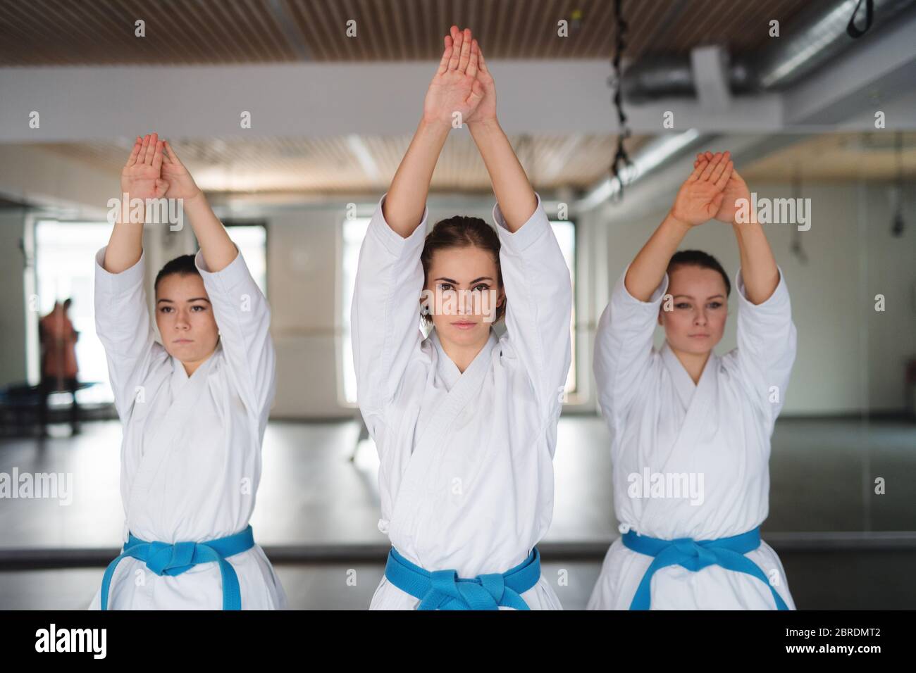 Group of young women practising karate indoors in gym Stock Photo - Alamy