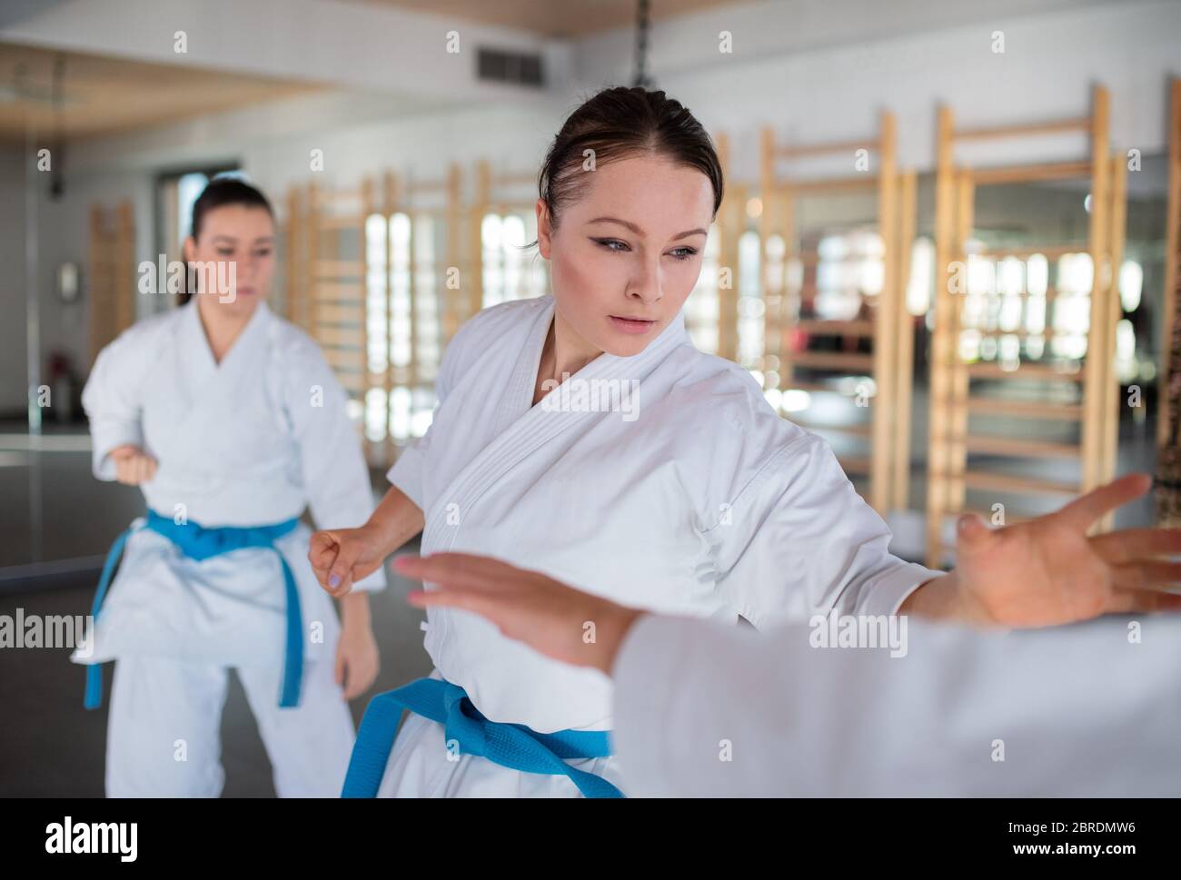 Group of young women practising karate indoors in gym Stock Photo - Alamy