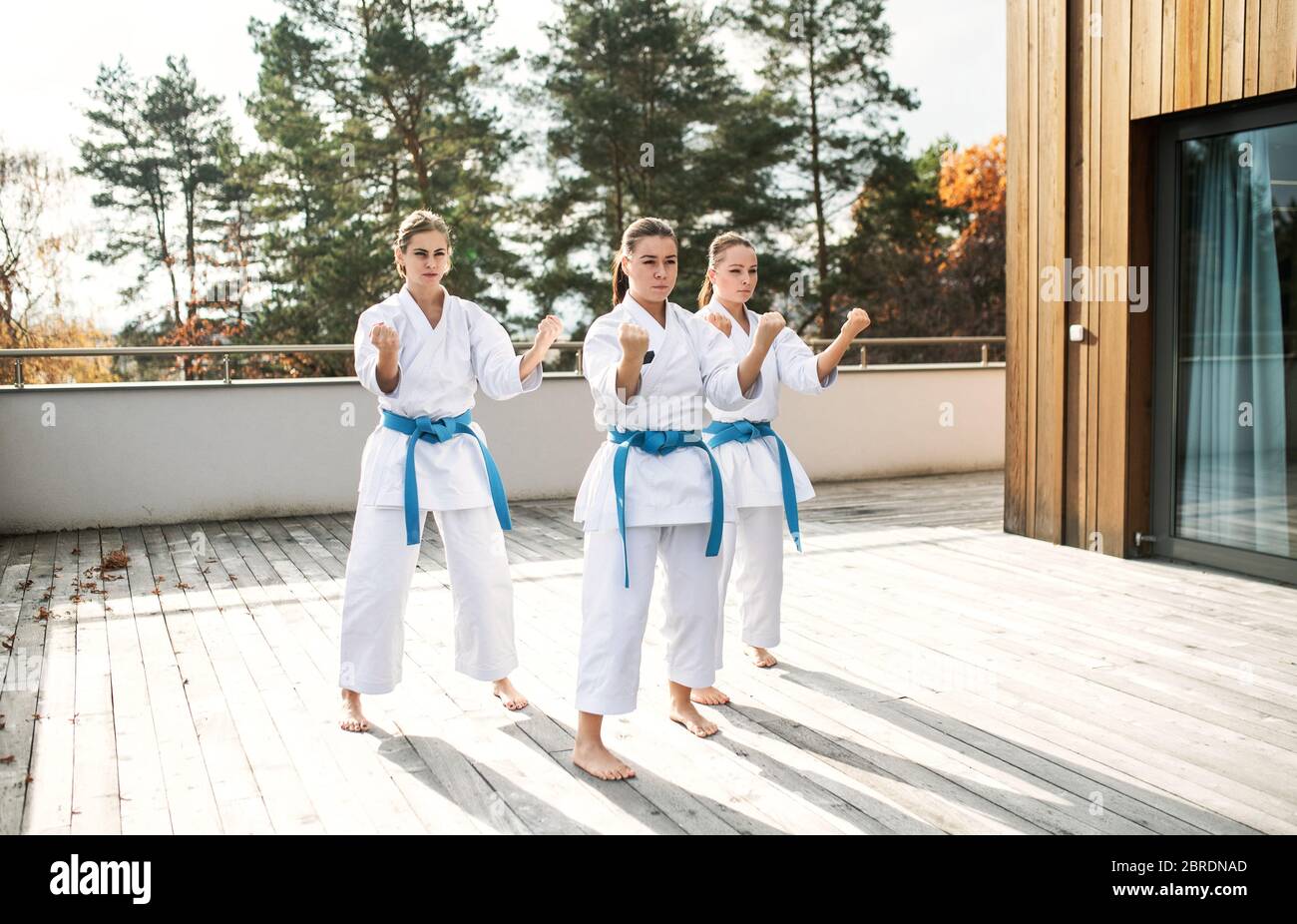 Group of young women practising karate outdoors on terrace Stock Photo ...