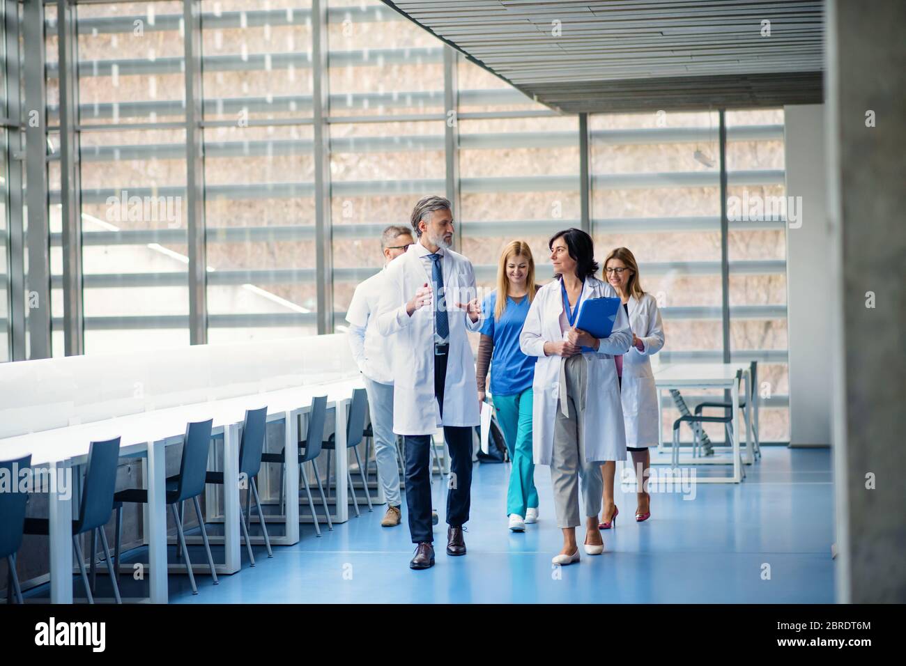 Group of doctors walking in corridor on medical conference Stock Photo ...