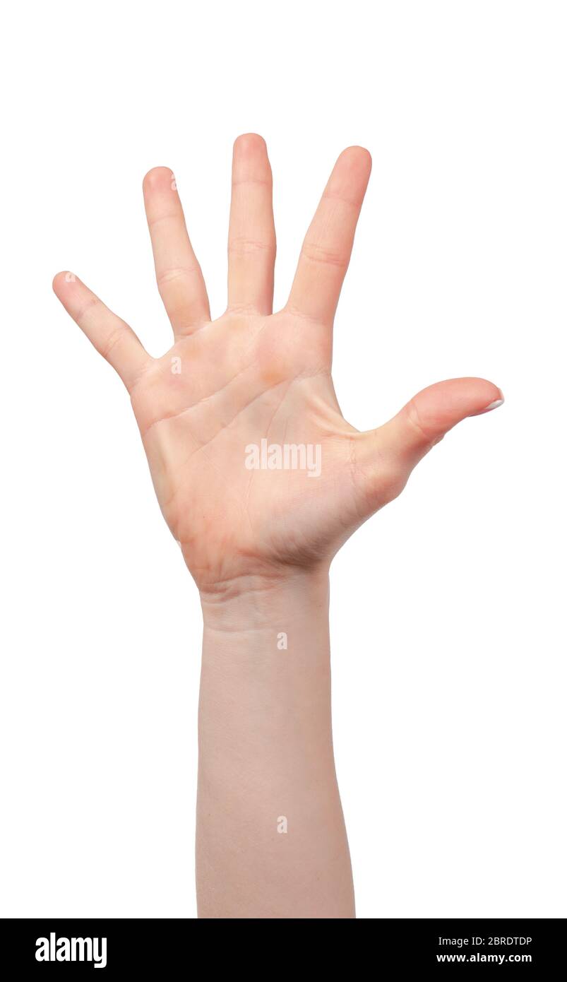 Female palm raised up isolated on white background Stock Photo - Alamy
