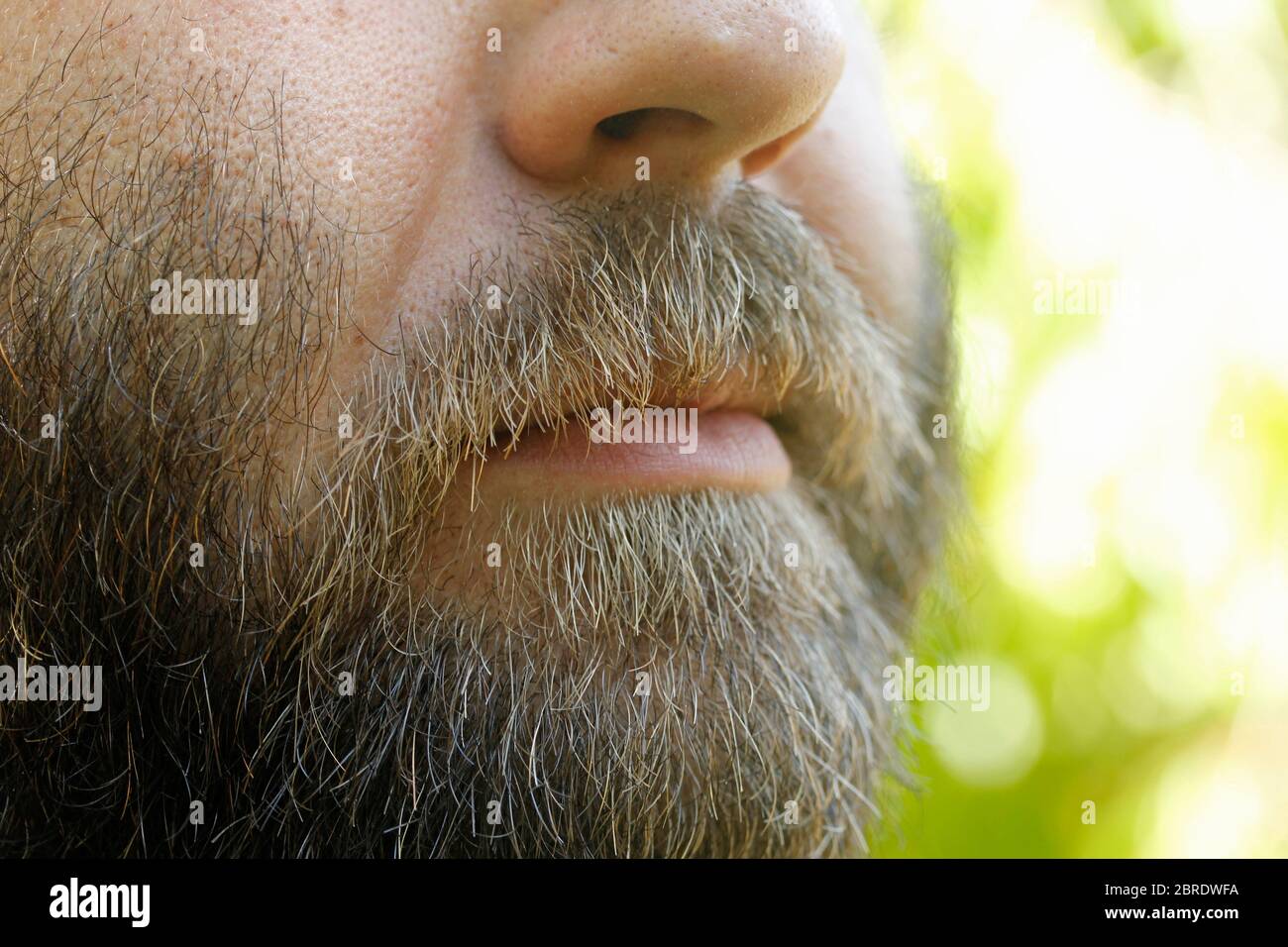 Mouth beard hi-res stock photography and images - Alamy
