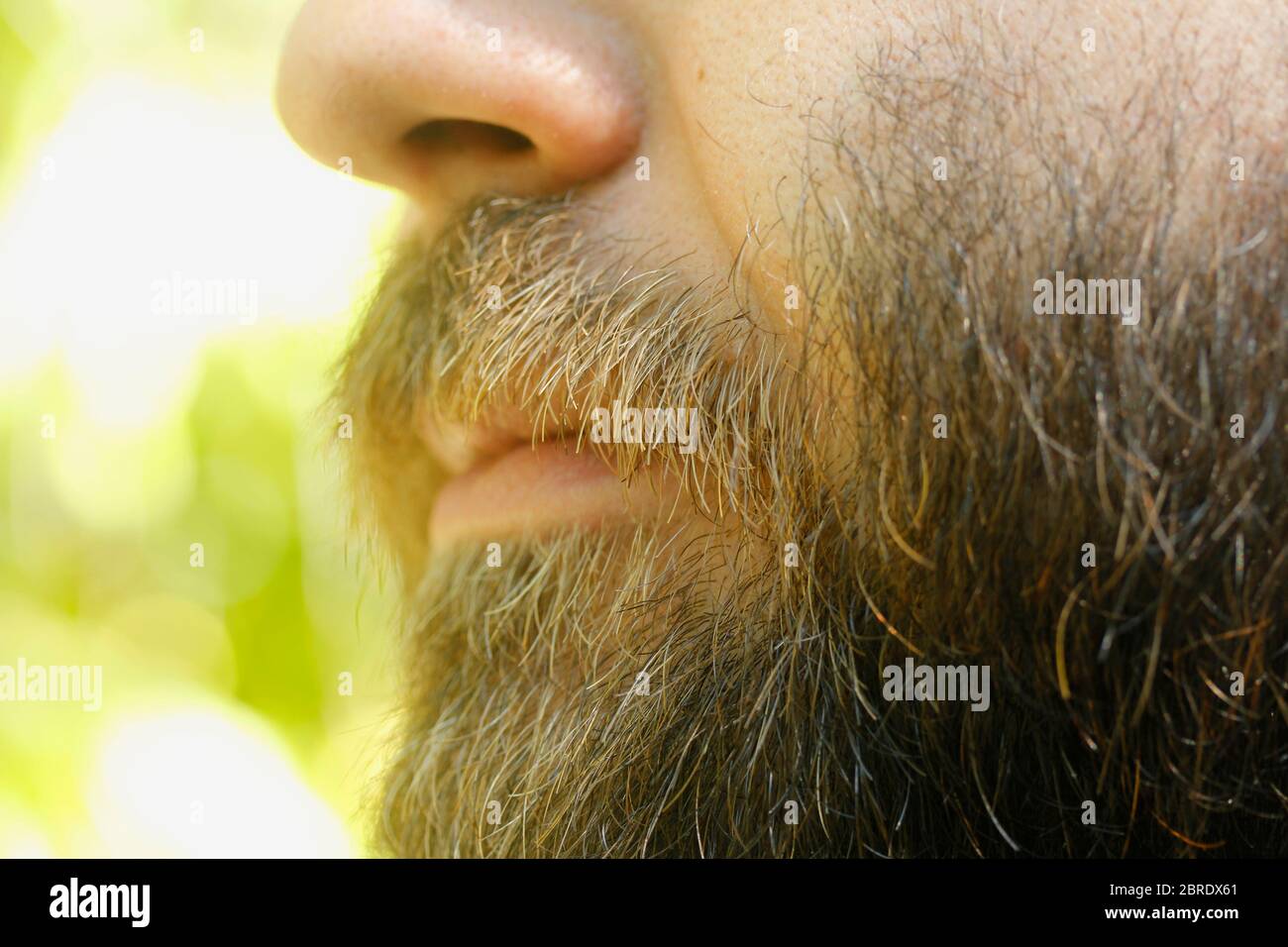 Young men beards hi-res stock photography and images - Alamy
