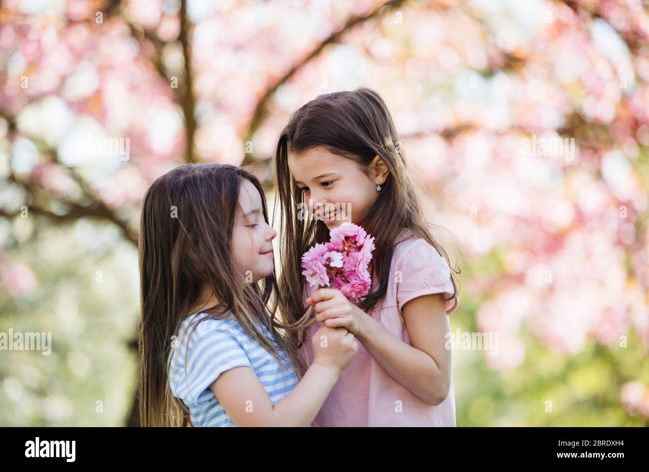 Two small girls standing outside in spring nature, holding flowers ...