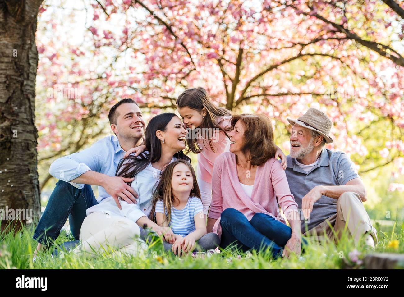 Three generation family sitting outside in spring nature Stock Photo ...