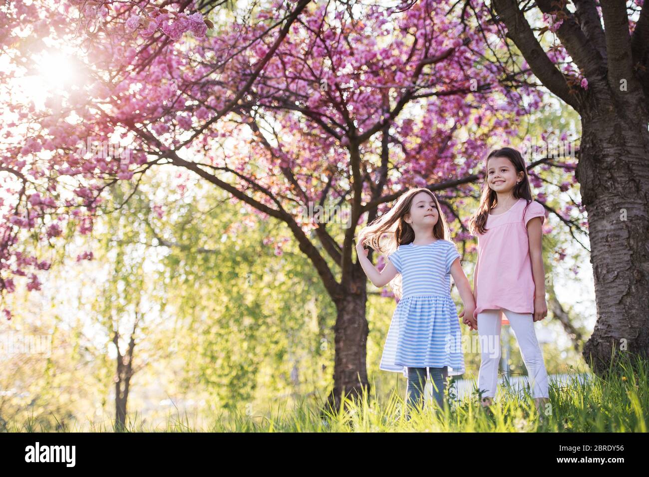 Two small girls standing outside in spring nature. Copy space Stock ...