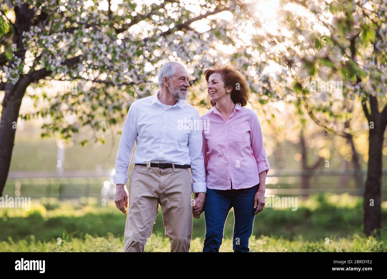 Beautiful senior couple in love outside in spring nature, walking Stock ...