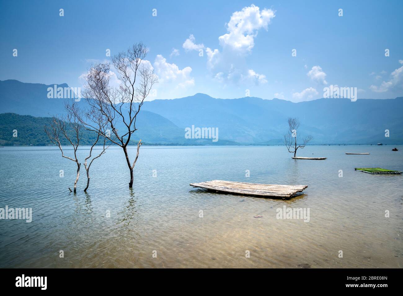 Beautiful pictures of bamboo rafts with dry trees on Lap An lagoon, Hue ...