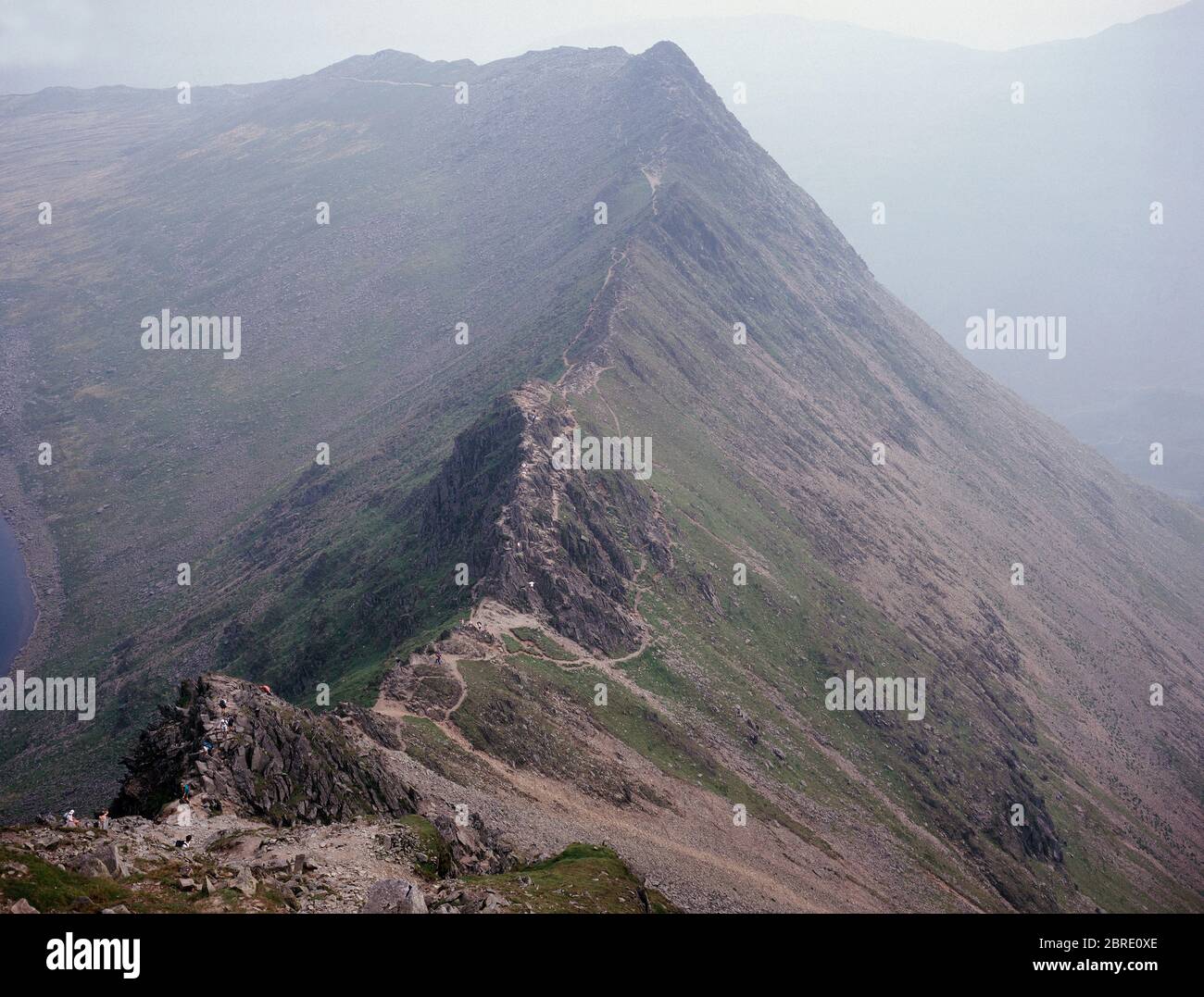 Helvellyn Striding Edge Summer High Resolution Stock Photography and ...