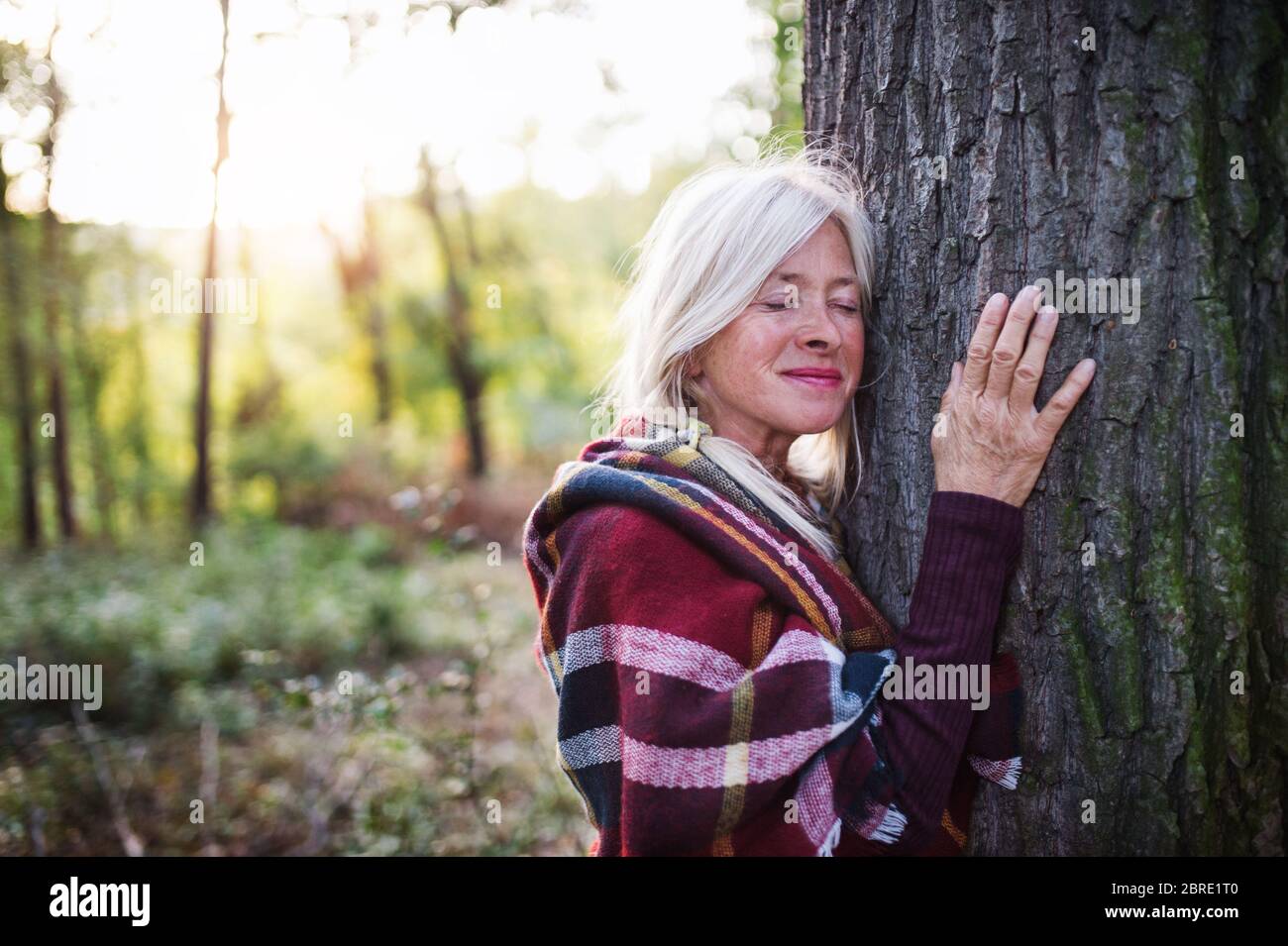 Senior woman on a walk in an autumn forest, hugging tree Stock Photo ...