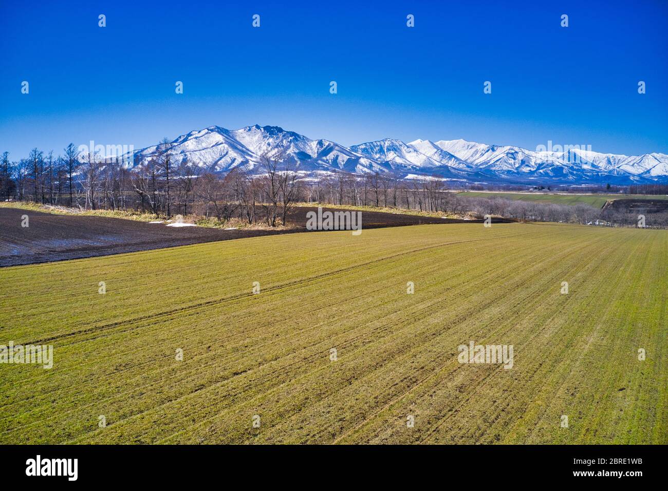 Tokachi Plain in spring, Hokkaido, Japan Stock Photo - Alamy