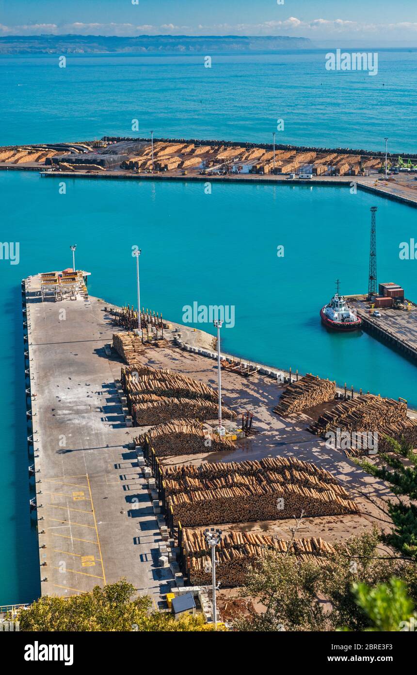Large stacks of cut timber logs, at Port of Napier, view from Bluff ...