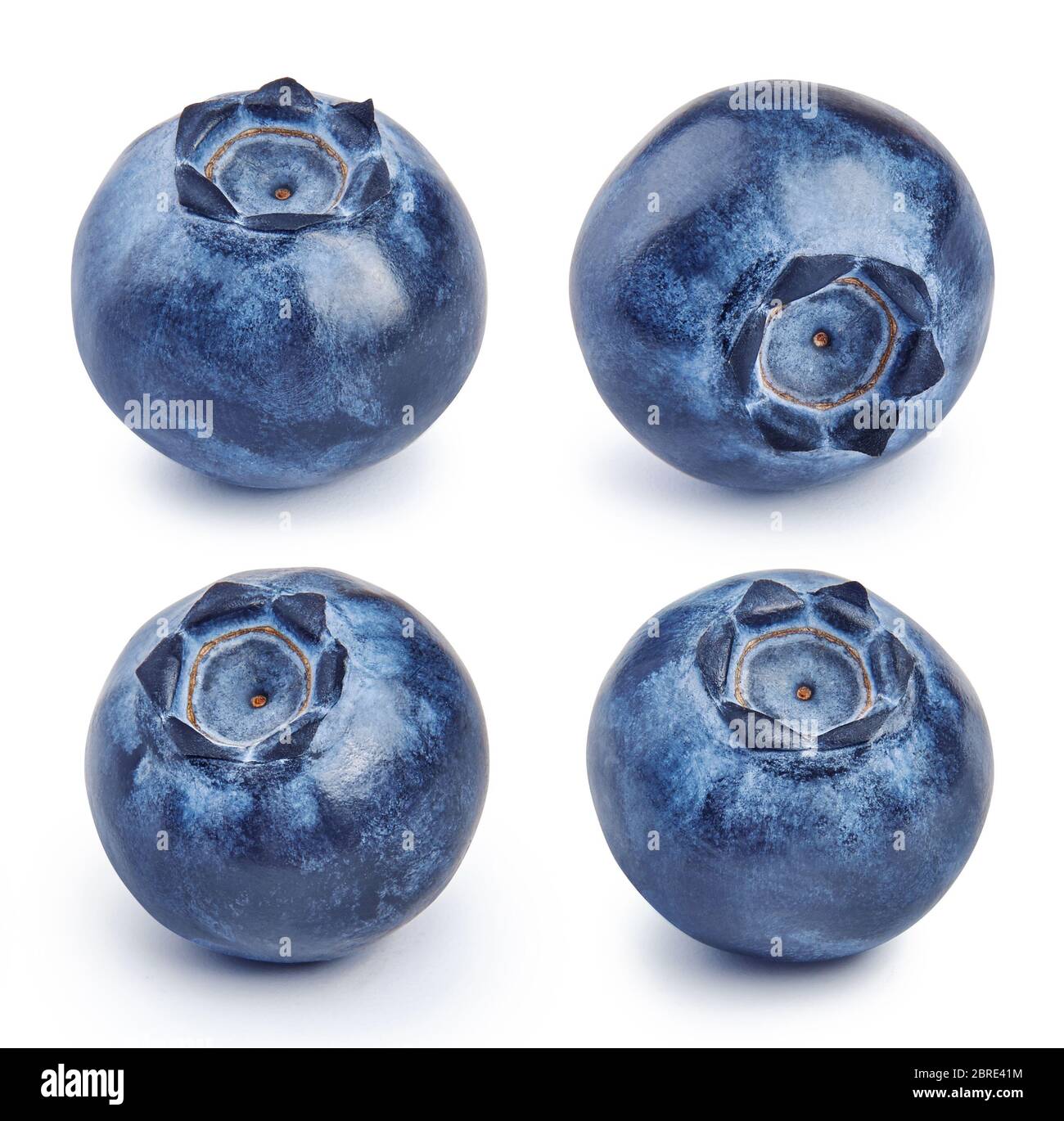 Set of fresh blueberries isolated on white background. Collection of ...