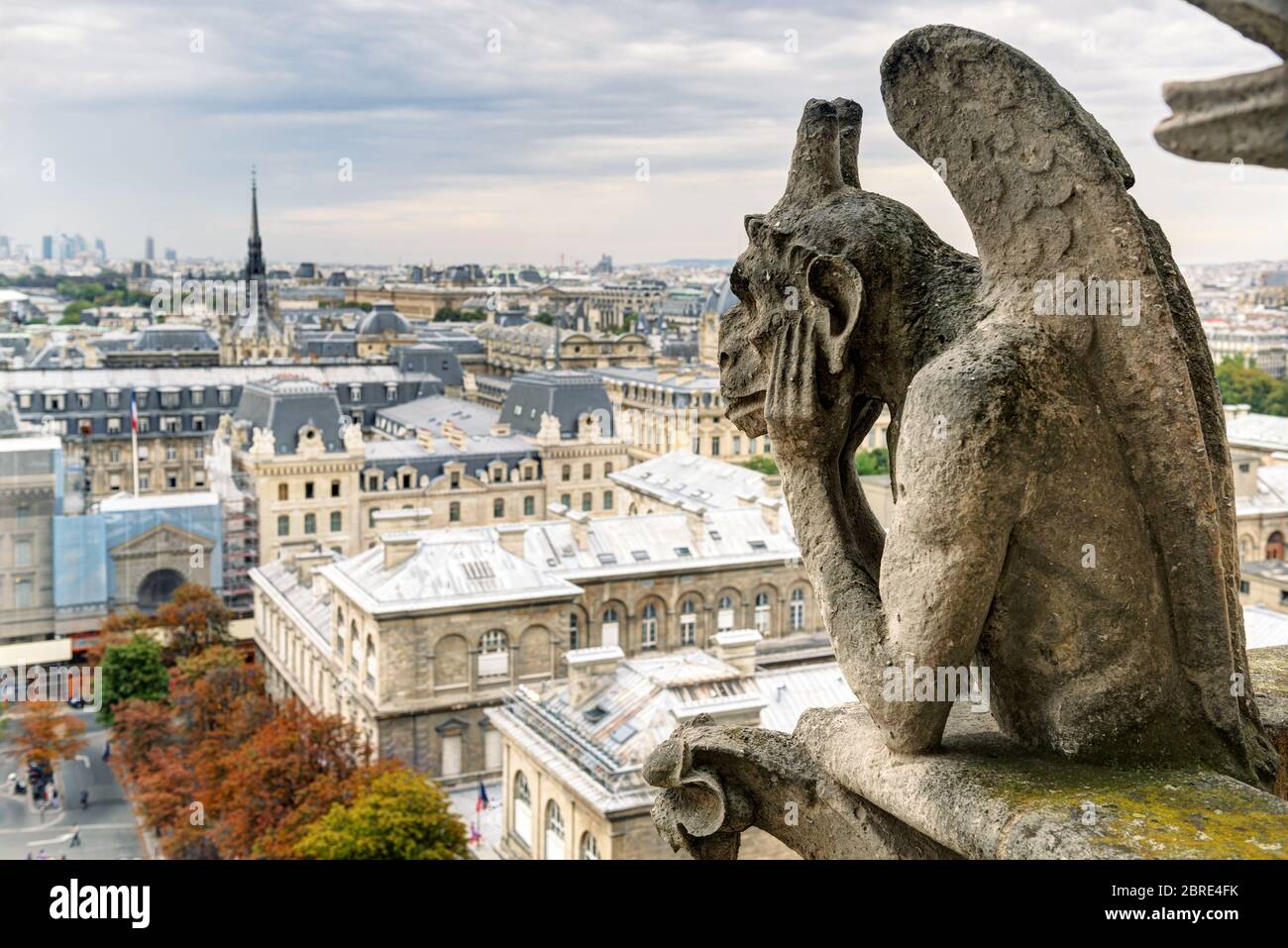 Chimera (gargoyle) of the Cathedral of Notre Dame de Paris overlooking ...