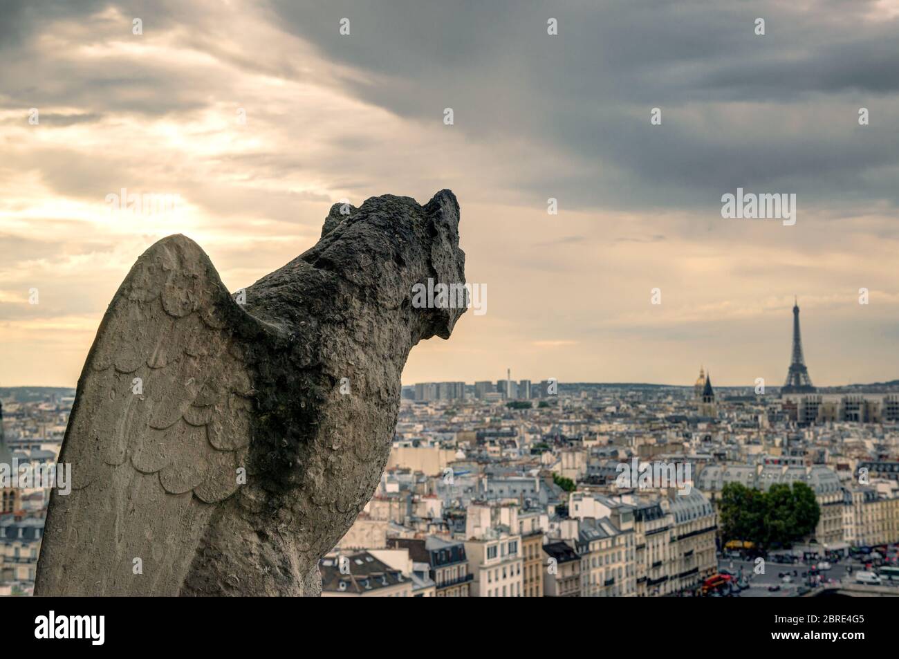 Chimera (gargoyle) of the Cathedral of Notre Dame de Paris overlooking ...