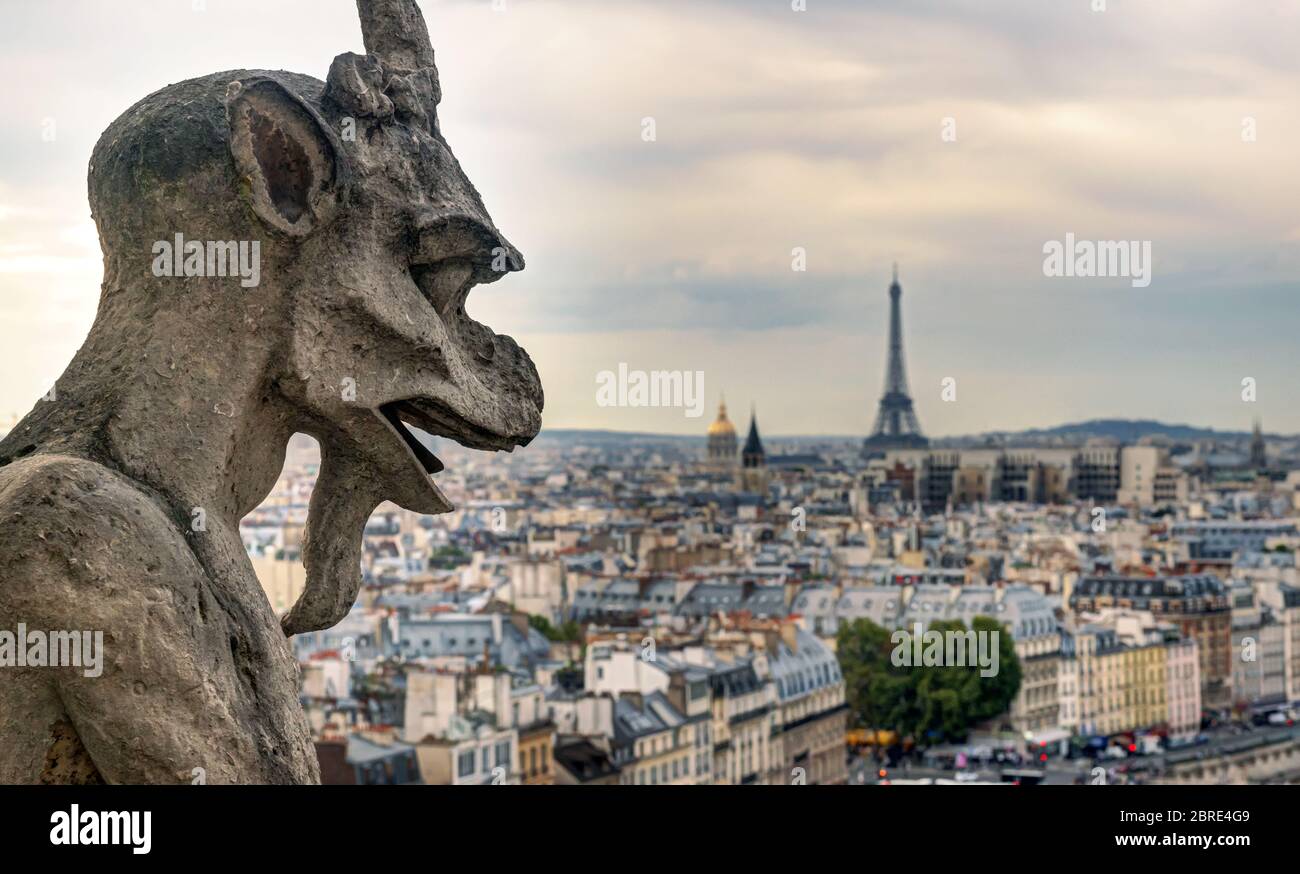 Chimera (gargoyle) of the Cathedral of Notre Dame de Paris overlooking ...