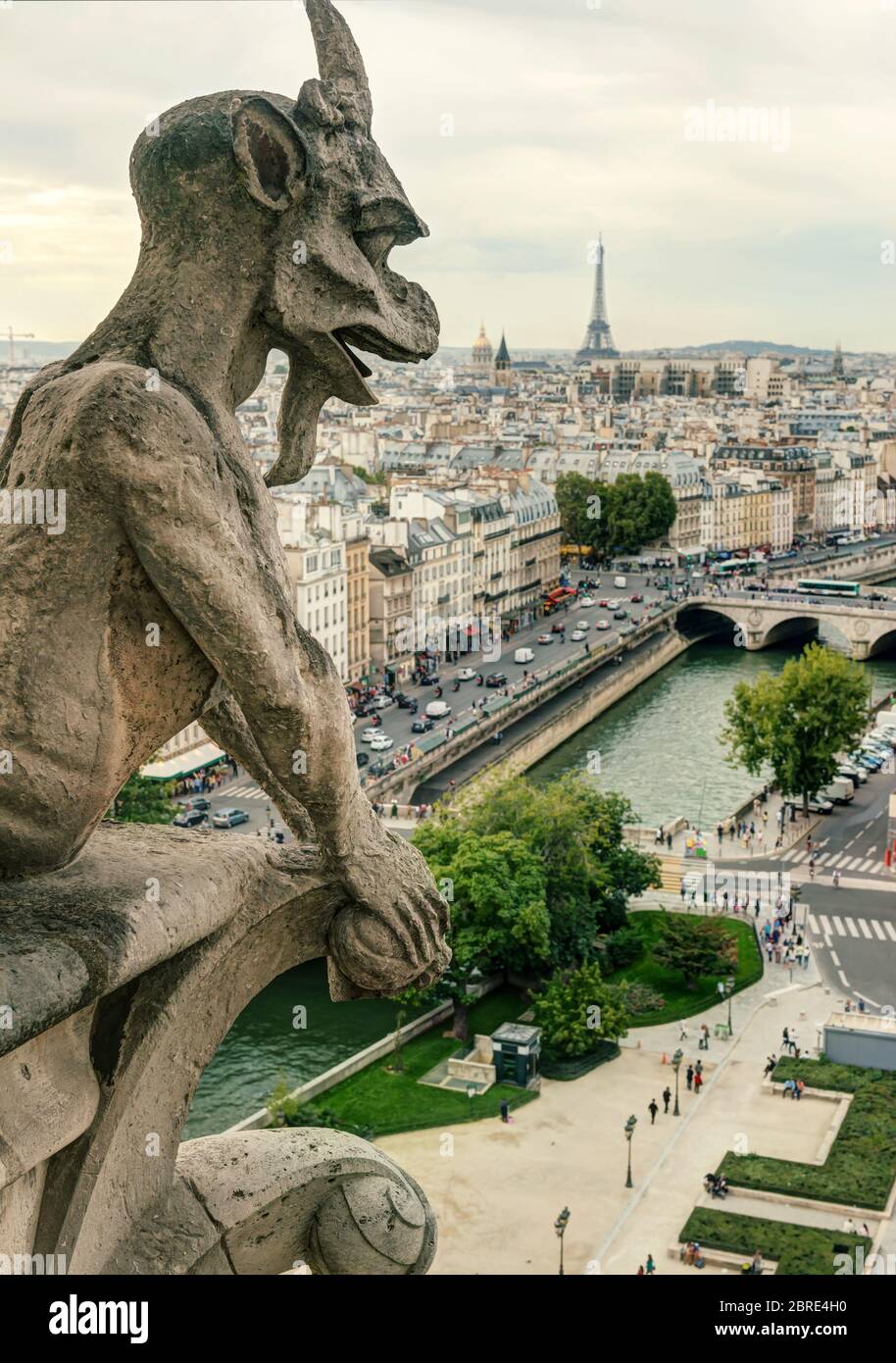 Chimera (gargoyle) of the Cathedral of Notre Dame de Paris overlooking ...