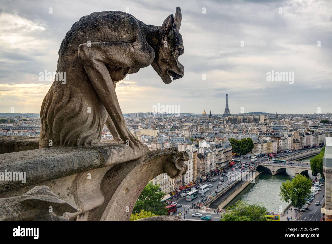 Chimera (gargoyle) of the Cathedral of Notre Dame de Paris overlooking ...