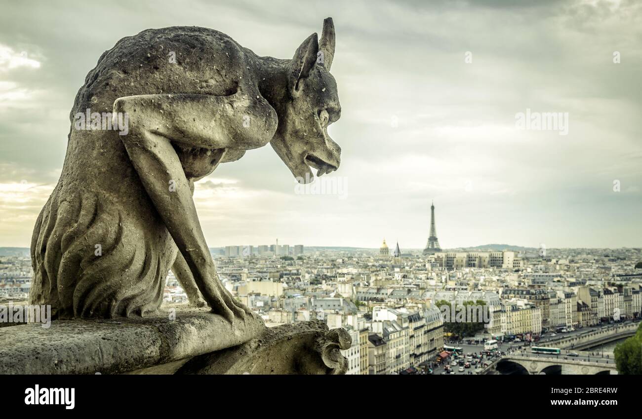 Gargoyle or chimera on the Cathedral of Notre Dame de Paris looks at ...