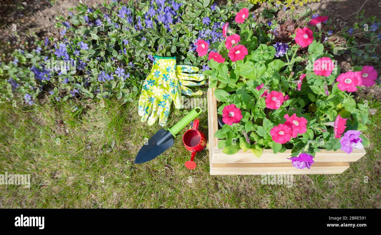 Photo of a beautiful garden composition of objects and tools necessary ...