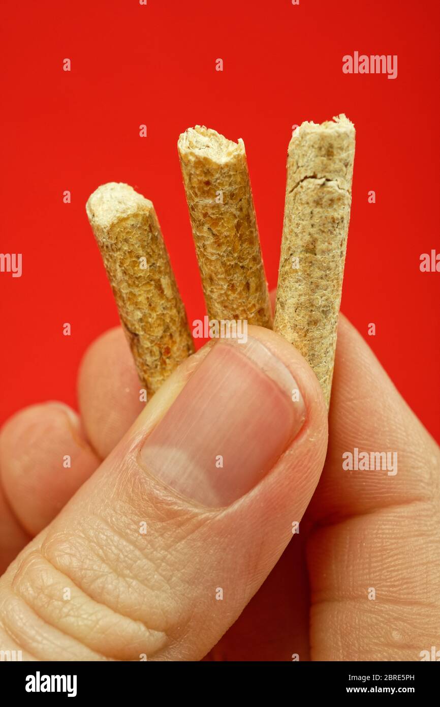 Wood-Pellets for heating purposes in the palm of a hand Stock Photo - Alamy