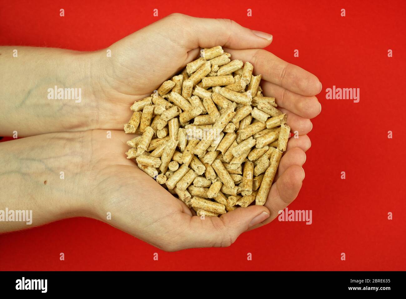 Wood-Pellets for heating purposes in the palm of a hand Stock Photo - Alamy