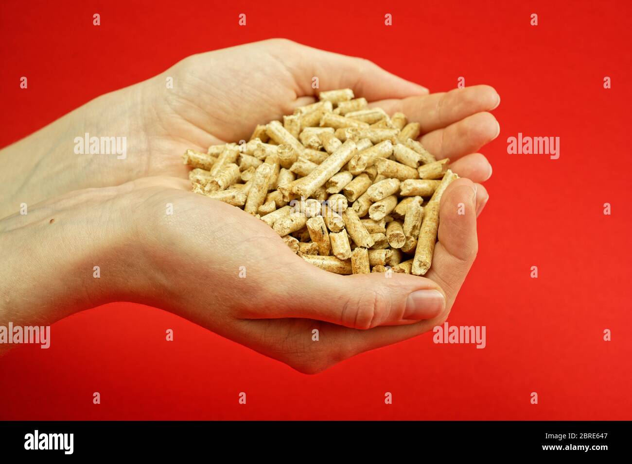 Wood-Pellets for heating purposes in the palm of a hand Stock Photo - Alamy