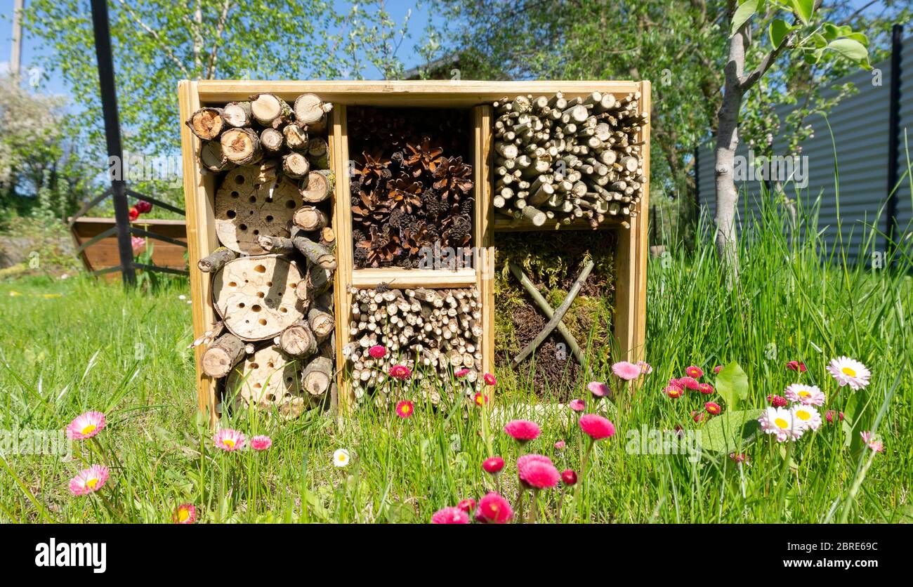 Landscaping ideas in the garden. A house for beetles and insects to ...